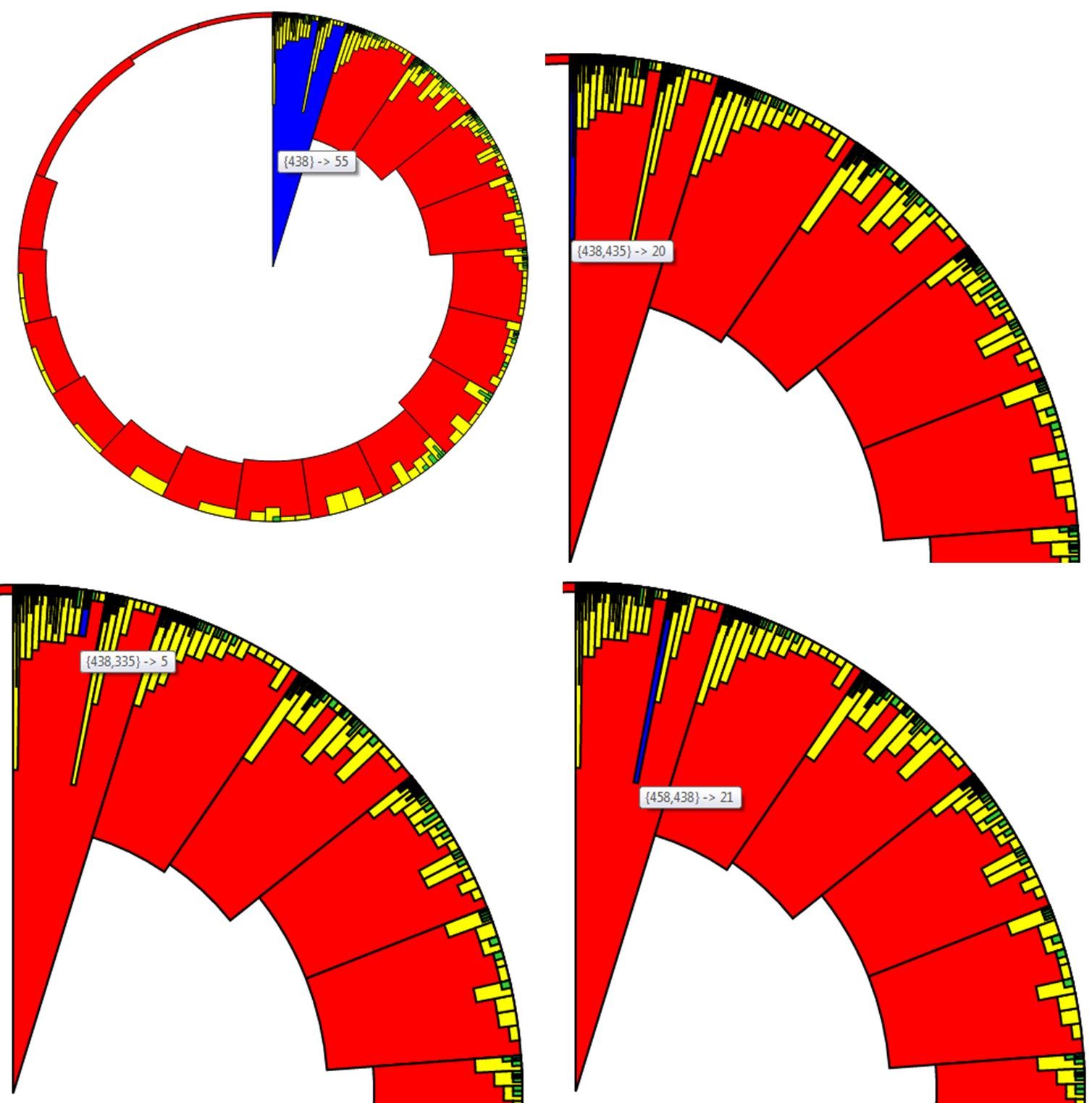 An Interactive Circular Visual Analytic Tool For Visualization Of Web Data Zhao Han Phd